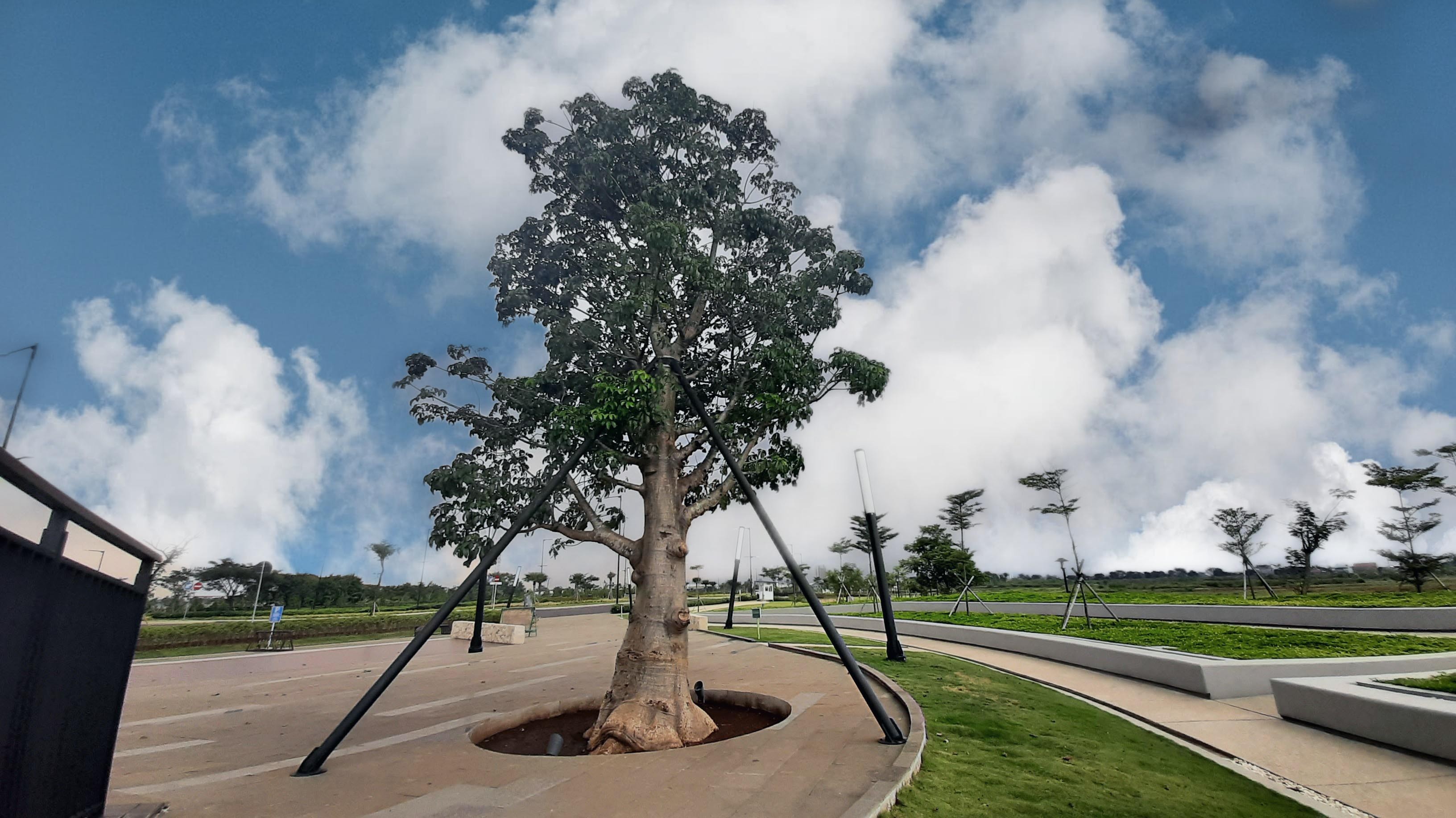 - Summarecon Bandung